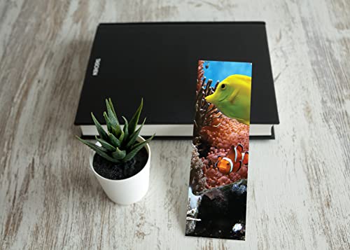 JBH Creations Ocean Animal Bookmarks - Pack of 48
