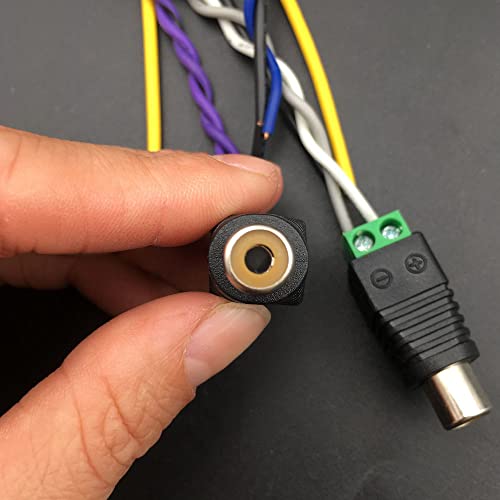ALLMOST 10pin Power Harness Plug RCA Compatible with Pioneer TS-WX1210A TS-WX1010A TS-WX300A TS-WX300TA 01.45-18200-A01, White