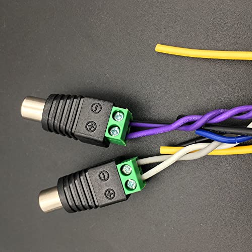 ALLMOST 10pin Power Harness Plug RCA Compatible with Pioneer TS-WX1210A TS-WX1010A TS-WX300A TS-WX300TA 01.45-18200-A01, White