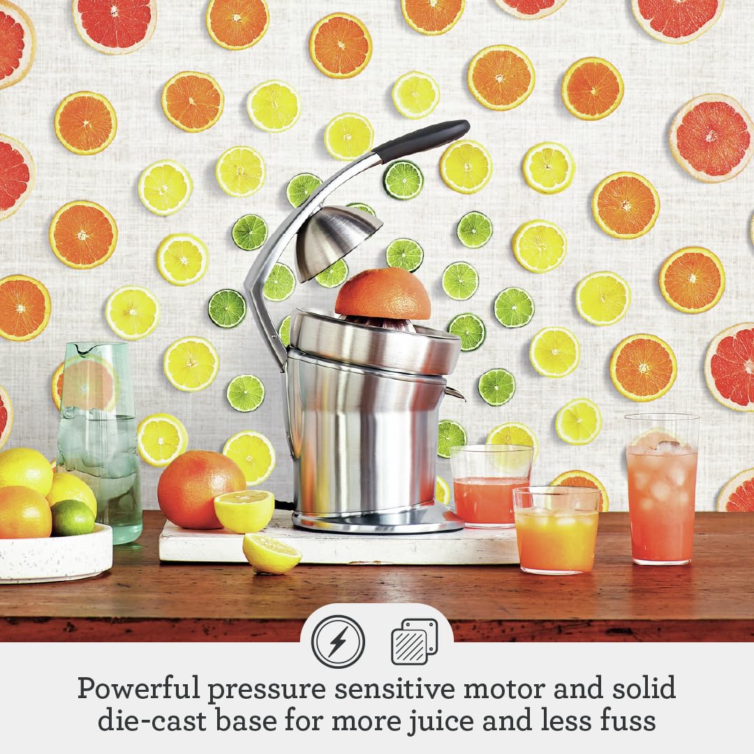 Breville Citrus Press Pro Electric Juicer, Stainless Steel, 800CPXL
