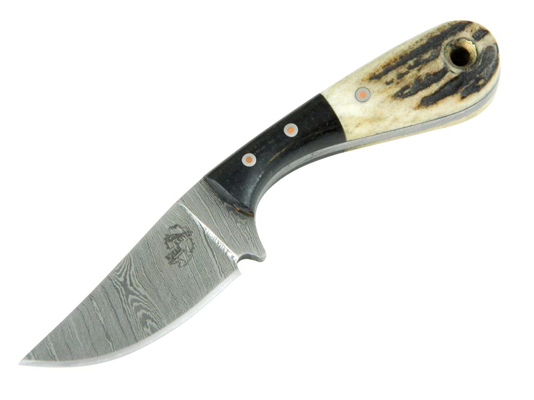 Knives Ranch Neck Knife, Small EDC Fixed Blade, Stag Handle and Fine Quality Sheath (3133-SG)