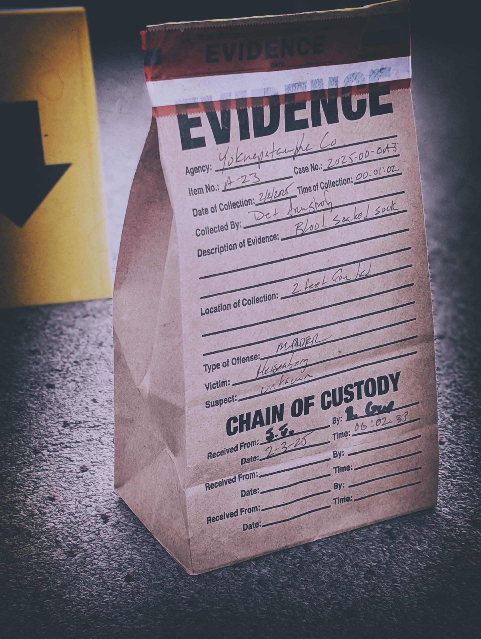 Crime Scene Paper Evidence Bags (Small)