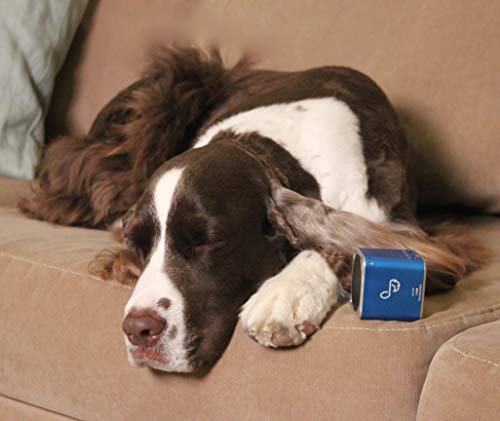 Pet Tunes Bluetooth Speaker Preloaded with Calming Canine Music