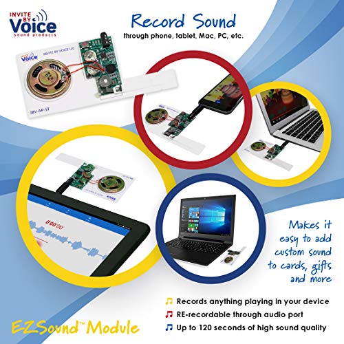 EZSound Module for DIY Audio Cards - Easy to Record - 120 Seconds Recording - High Sound Quality