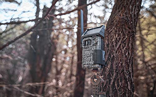 SPYPOINT Link-Micro-S-LTE Solar Cellular Trail Camera with LIT-10 Battery and Security Steel Case (Link-Micro-S-LTE-V)
