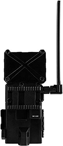 SPYPOINT Link-Micro-S-LTE Solar Cellular Trail Camera with LIT-10 Battery and Security Steel Case (Link-Micro-S-LTE-V)