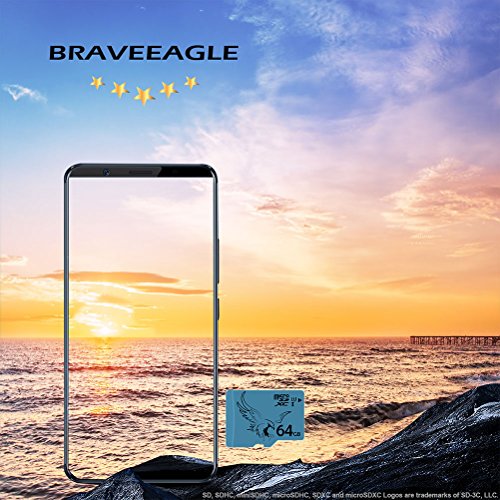 BRAVEEAGLE 64GB microSD Card Class 10 SD Memory Card UHS-1 for Camera/Drone/Dash Cam (64GB U1)