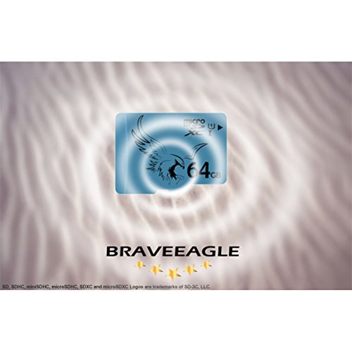BRAVEEAGLE 64GB microSD Card Class 10 SD Memory Card UHS-1 for Camera/Drone/Dash Cam (64GB U1)