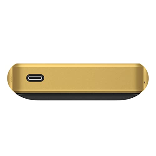 Sony NW-WM1ZM2 256GB Signature Series Premium Digital Music Player