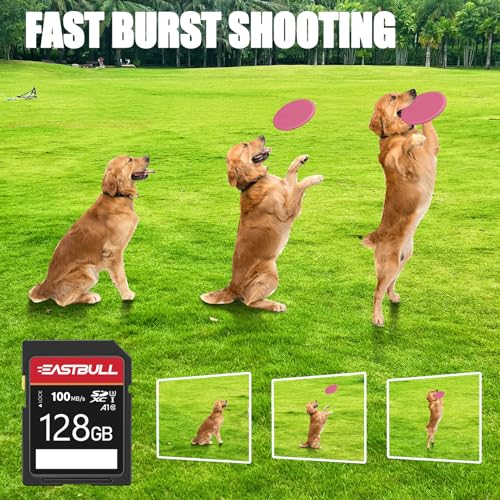 EASTBULL 2-Pack SD Card 128GB U3 V30 High-Speed 100MB/s Read Class 10 SD Card SDXC Memory Card for Camera, Full HD Video, with 2 Mini Case (128GB, 2 Pack)