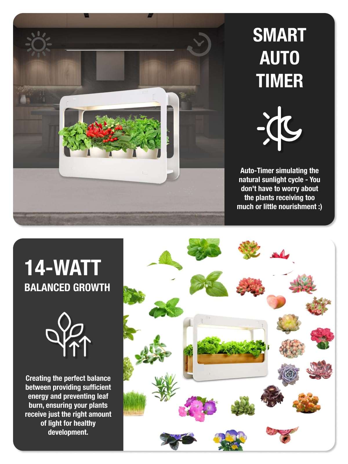 TORCHSTAR LED Indoor Herb Garden, CRI 95+, Herb Grower Light with Timer, Indoor Gardening System, Full Spectrum Light, 24V Garden Kit for Plant Grow Novice, White, 4000K, Pots & Plants Not Included