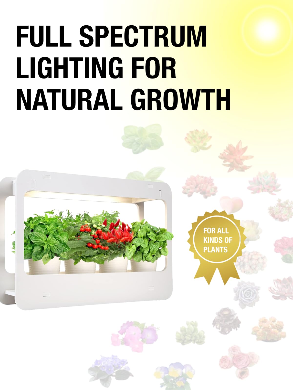 TORCHSTAR LED Indoor Herb Garden, CRI 95+, Herb Grower Light with Timer, Indoor Gardening System, Full Spectrum Light, 24V Garden Kit for Plant Grow Novice, White, 4000K, Pots & Plants Not Included