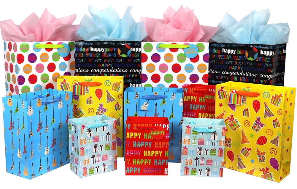 Fzopo Birthday Gift Bag Assortment with Ribbon Handle, 12 Pcs Premium Quality Assorted Sizes Paper Bags Set, XL 13x17x6.5, Large 12x15x4.8, Medium 7x9x4.2 inches, 6 Designs