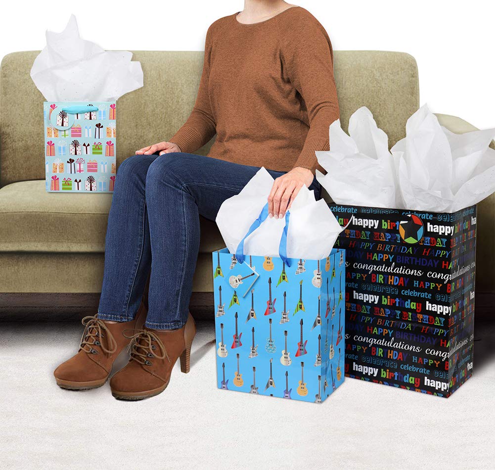 Fzopo Birthday Gift Bag Assortment with Ribbon Handle, 12 Pcs Premium Quality Assorted Sizes Paper Bags Set, XL 13x17x6.5, Large 12x15x4.8, Medium 7x9x4.2 inches, 6 Designs