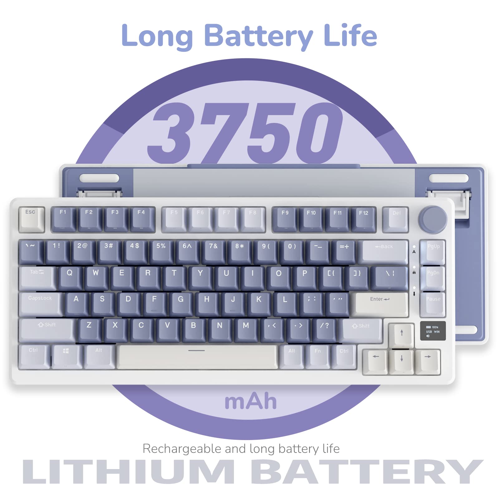 RK ROYAL KLUDGE M75 Mechanical Keyboard with OLED Smart Display and Volume Knob, 2.4G/USB-C/BT Gasket Mounted 75% Layout Wireless Gaming Keyboard with 81 Keys, RGB Backlit Hot-Swap Fast Silver Switch