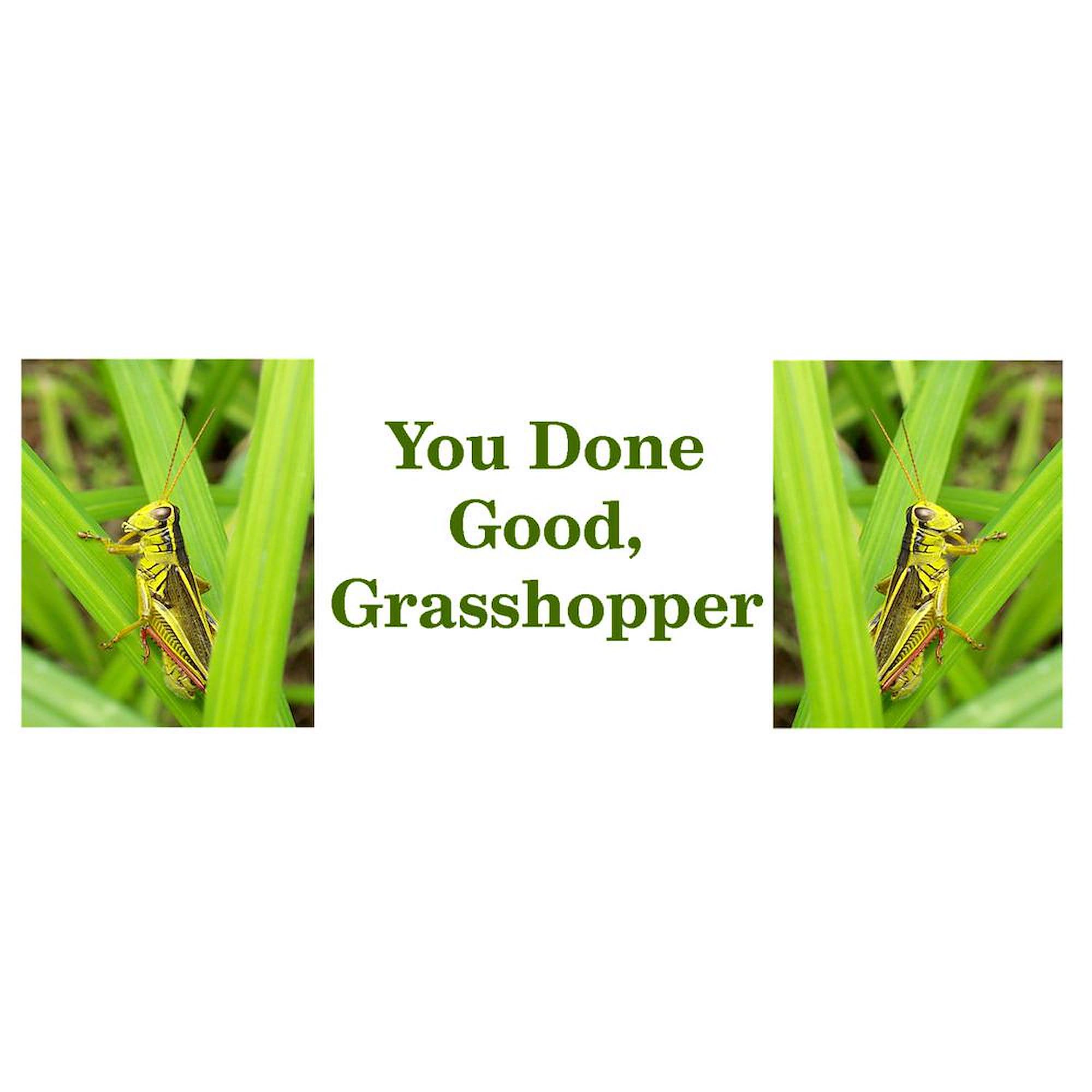 CafePress Grasshopper Mug Ceramic Coffee Mug, Tea Cup 11 oz