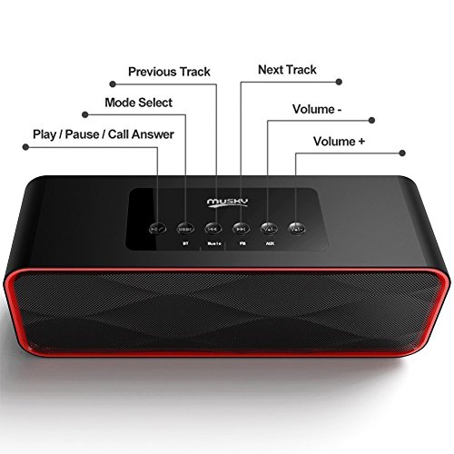 Portable Wireless Bluetooth Stereo Speaker with Powerful Sound 10W Acoustic Drivers Built-in Mic FM Radio Micro SD Card USB AUX-in Slot for Smartphone, PC, MP3 and More