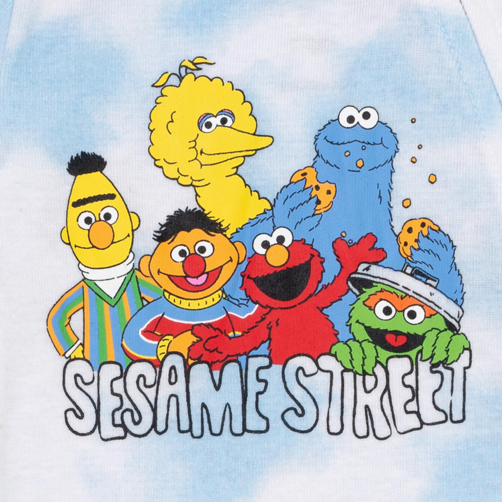 Sesame Street Baby Boys 2 Pack Zip-Up Long Sleeve Sleep N' Play Coverall 3-6 Months