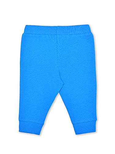 Sesame Street Cookie Monster Baby Boys Bodysuit and Pants Set for Newborn and Infant
