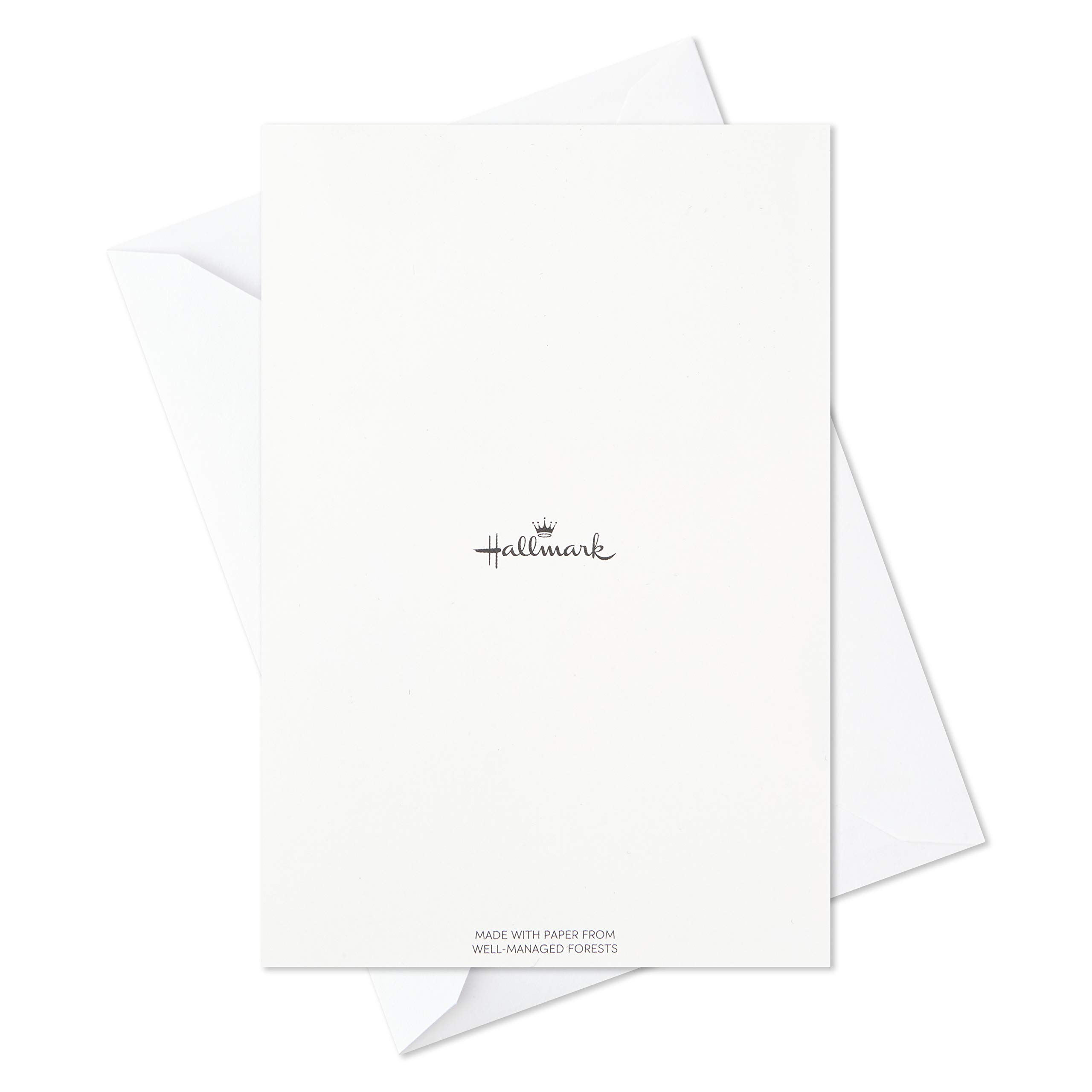Hallmark Birthday Cards Assortment, 24 Cards with Envelopes (Rainbow Lettering, Best Day Ever)