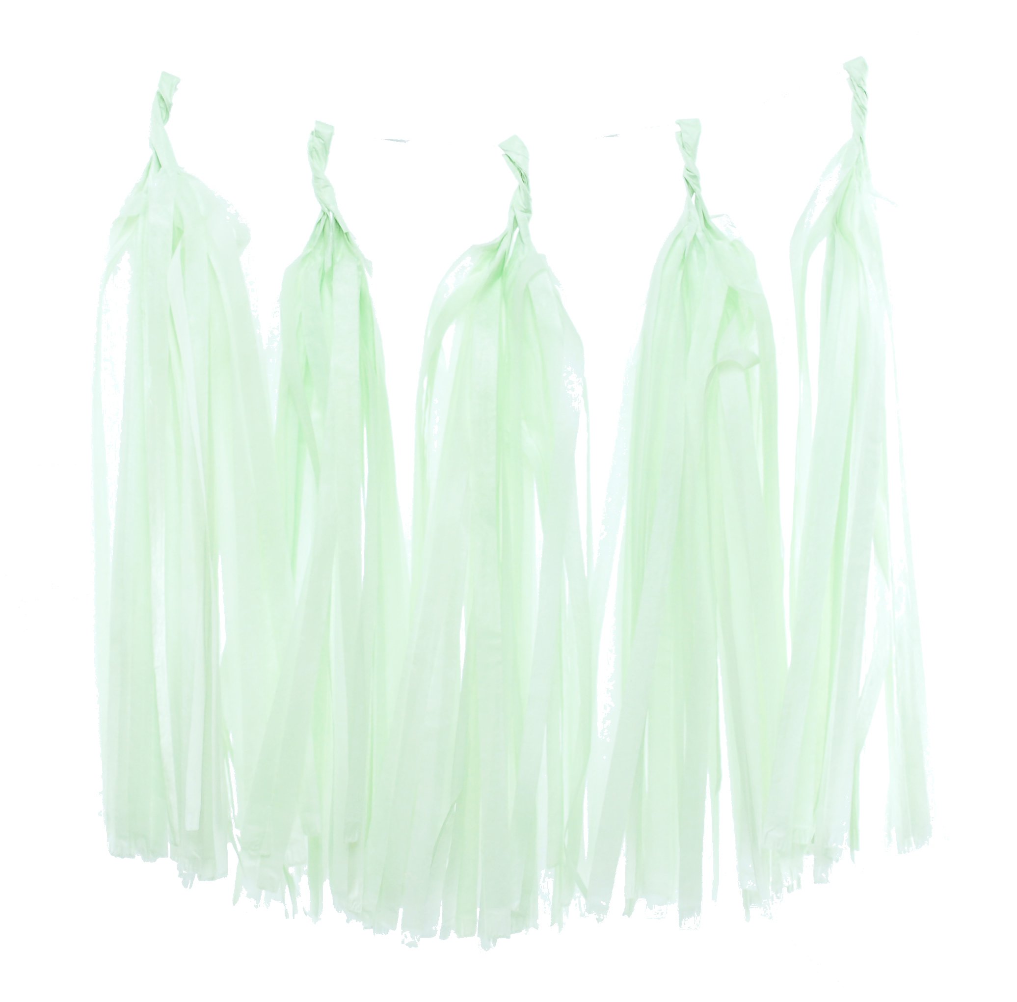 Tissue Paper Garland, Mint Green Party Tassels (Set of 5) - Party Backdrops, Tassel Banner, Light Green Wedding Streamers, Baby Shower Party Supplies