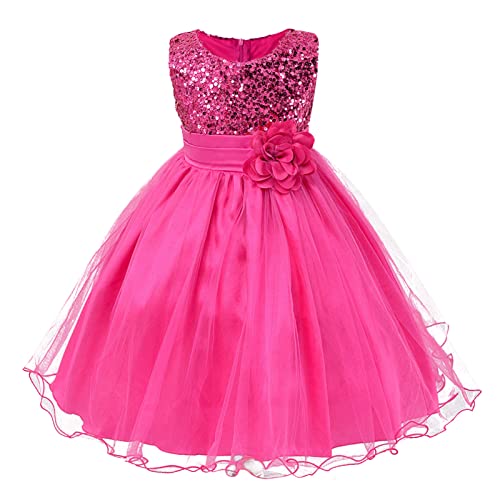 Newborn Infant Baby 1/2 1st 2nd Birthday Party Dress Princess Dance Costume Feather Ballerina Dress Soft Tulle Skirt Hot Pink
