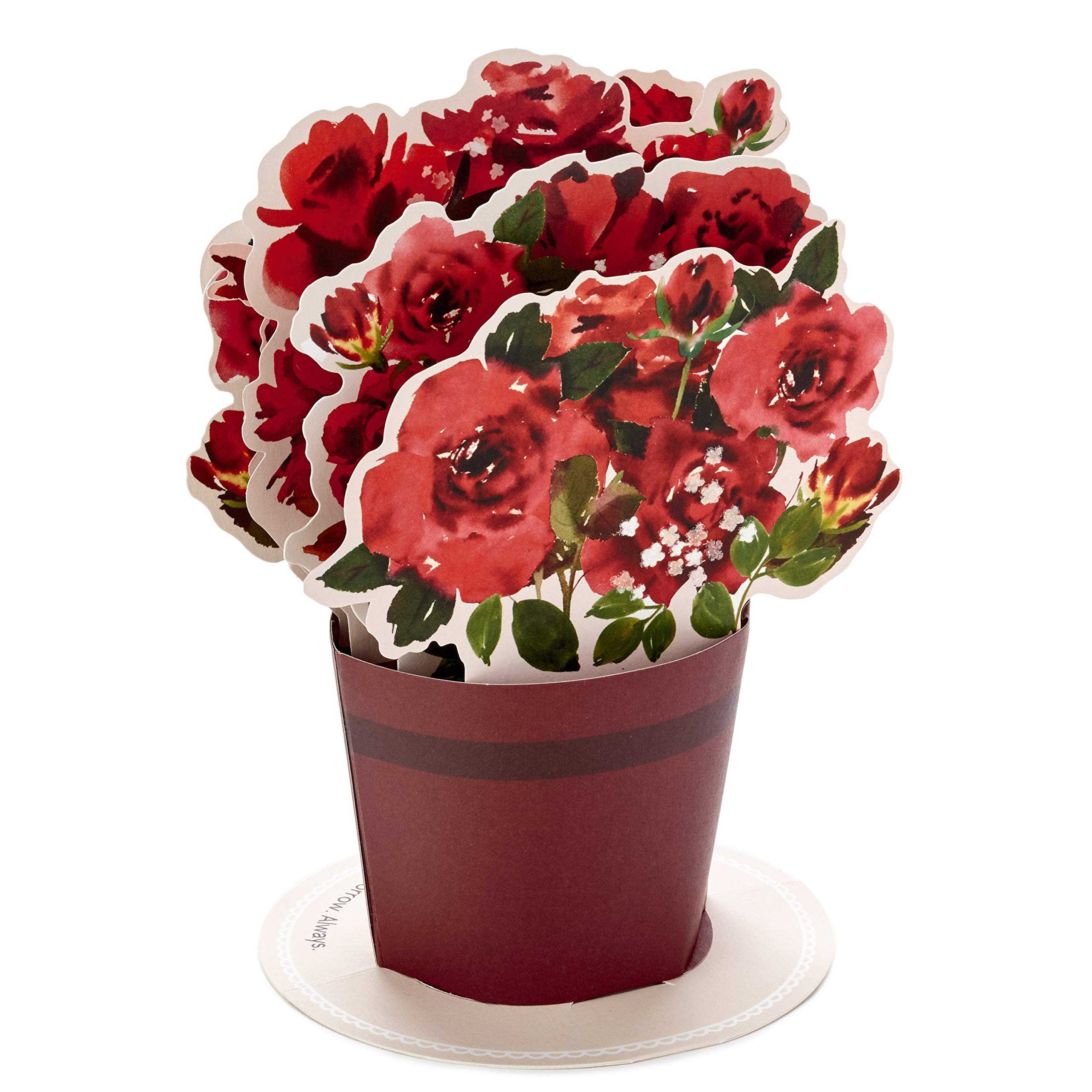 Hallmark Paper Wonder Pop Up Valentines Day Card, Displayable Bouquet (Today, Tomorrow, Always)
