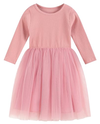 BTGIXSF Baby Girls Tutu Dress Toddler Long Sleeve Tulle Dress Princess Infant Party Dresses 698 Pink 110