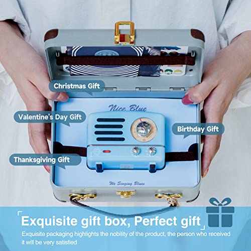 Muzen OTR Metal Portable Bluetooth Speaker with Retro knob Tuner FM Radio, Also with Suitcase Gift Case, Wireless Bluetooth Speaker with Loud Stereo Sound, for Home Outdoor Travel