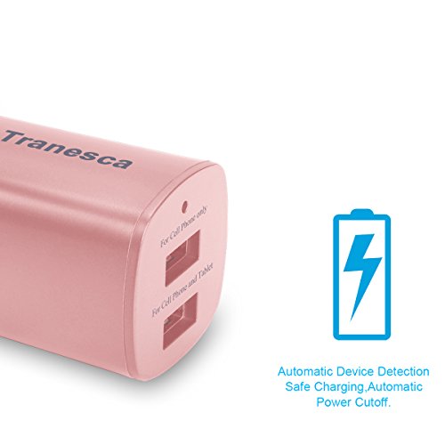 Tranesca 2.4 Amp Dual USB Port Travel Wall Charger Cube with Foldable Plug for iPhone X/8/7/6S/6S Plus/6 Plus/6, Samsung Galaxy S9/S8/S7/S6/S5 Edge, LG, HTC, Moto, Kindle and More-Rose Gold