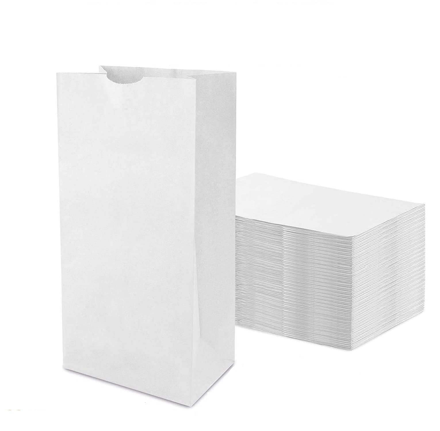 6lb White Rainbow Paper Bags 500 Count (5 x 100 Packs)