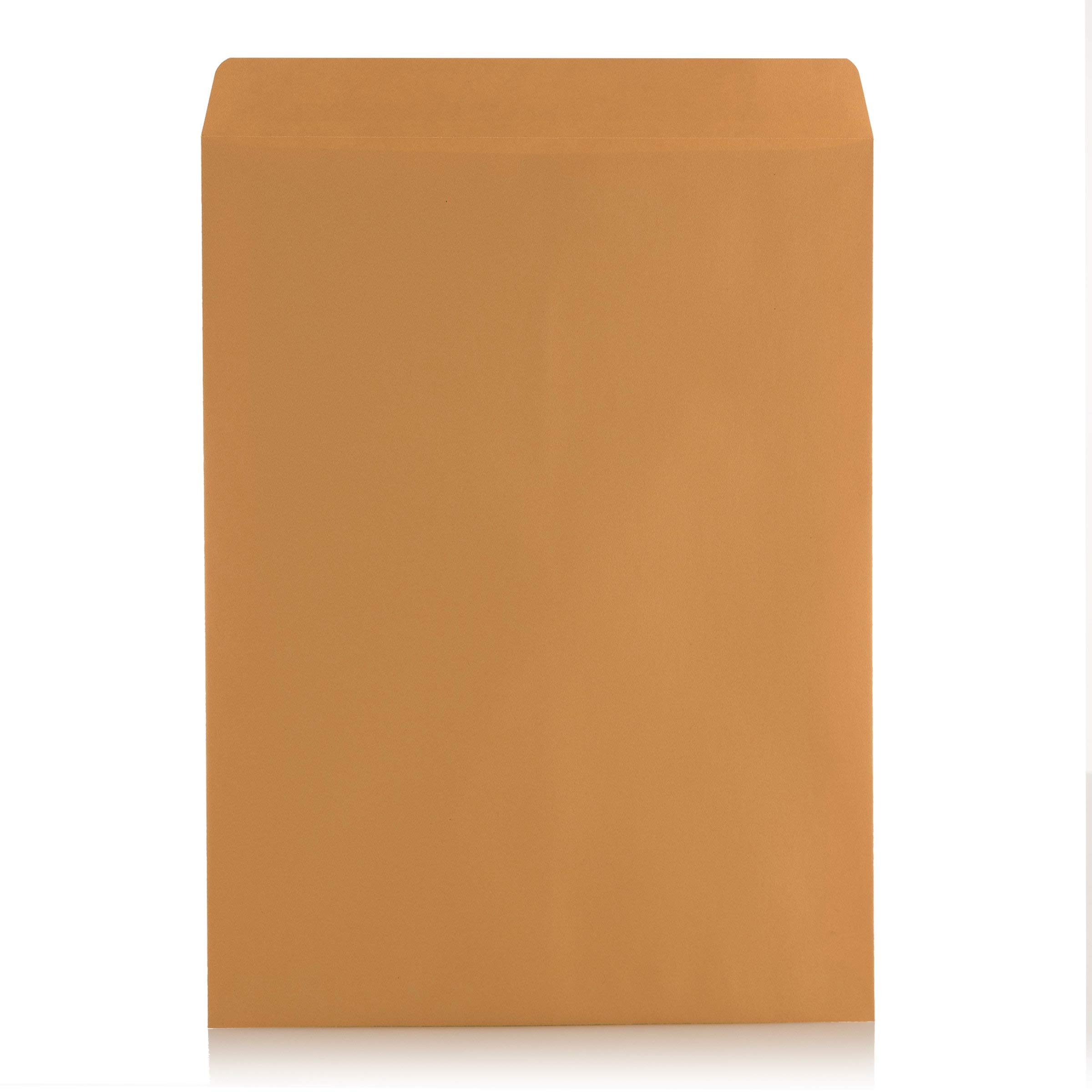 100 6 x 9 Self-Seal Brown Kraft Catalog Envelopes - 28lb, 100 Count, Ultra Strong Quick-Seal, 6x9 inch (38900)