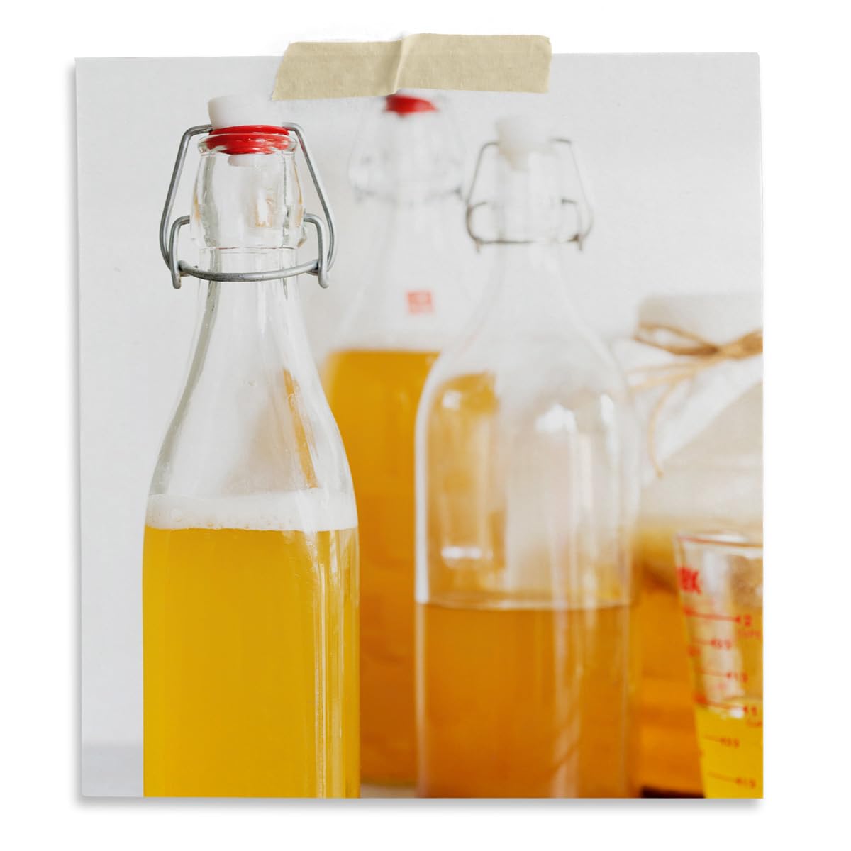Fermentaholics ORGANIC Water Kefir Grains - Live Starter Culture - Makes a Quart Batch - Water Kefir Starter Grains - Brew Your Own Water Kefir At Home - Bulgaros De Agua