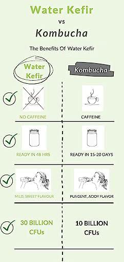 Water Kefir Starter Kit - Swivel Top Bottle, Organic Sugar, Nylon Strainer, & Water Kefir Grains Made from Organic Specialty Sugars and Natural Spring Water