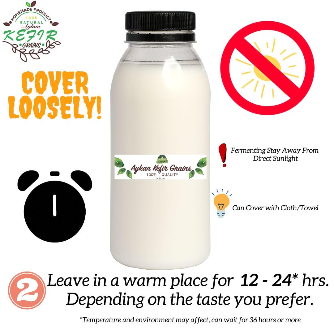Fresh Milk Kefir Grains - 1 TBSP