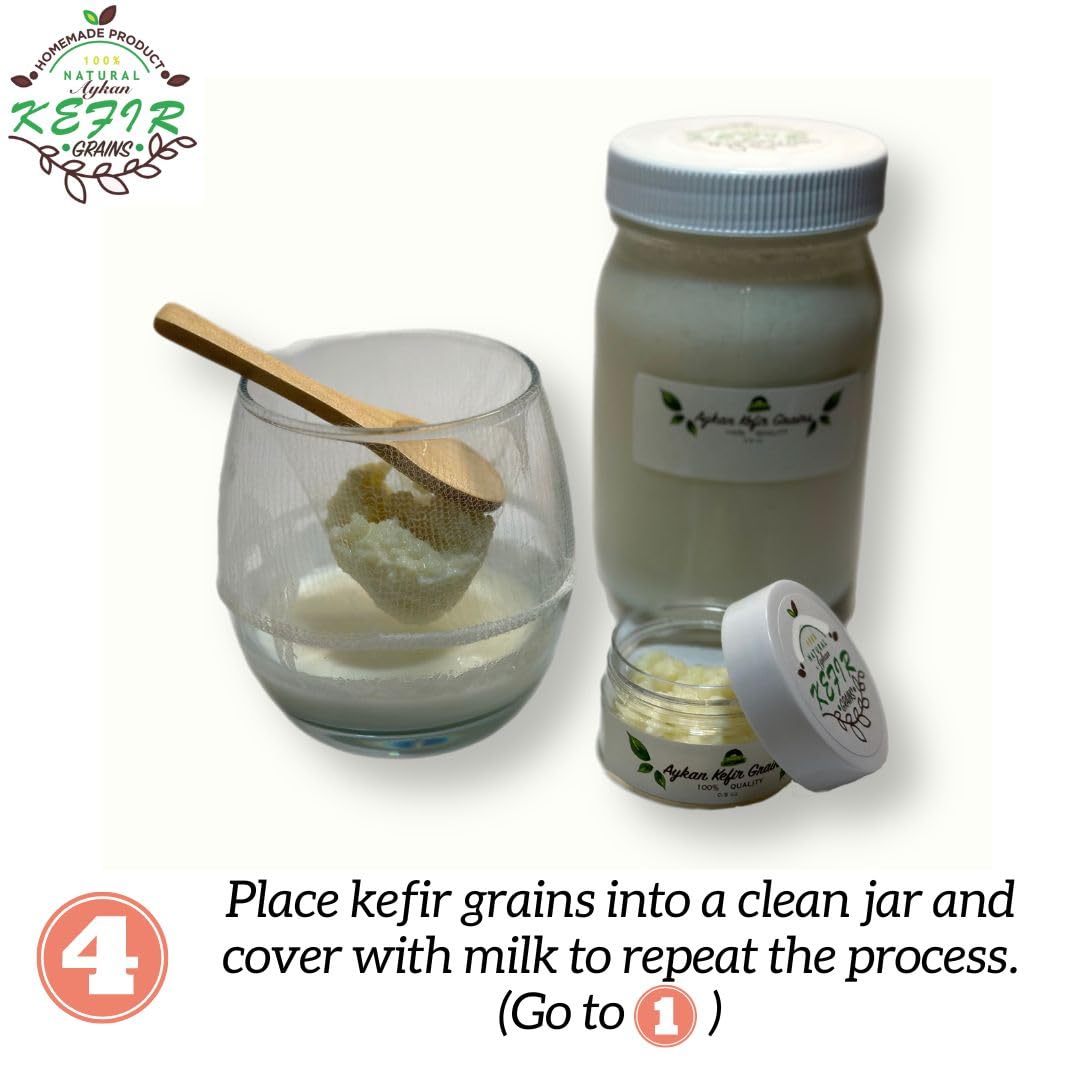 Fresh Milk Kefir Grains - 1 TBSP