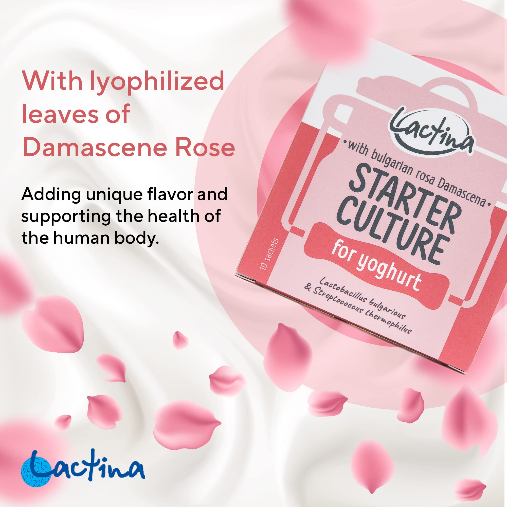 Bulgarian Yogurt Starter Culture Natural Probiotic Yogurt Culture Starter Homemade Yoghurt Starter 10 Liters Lactobacillus bulgaricus (Rose)