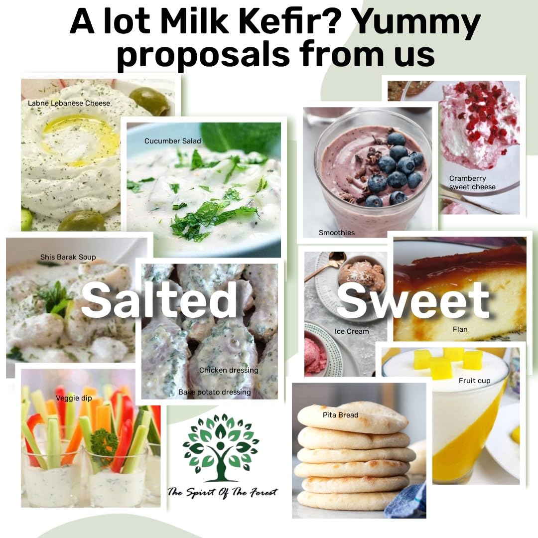 Milk Kefir Powder Ready To Use No Maintenance - Live Active Probiotic Cultures - Non GMO Gluten Free - Health Starter - Leche de Bulgaros en Polvo (Large Pack 10 Oz)