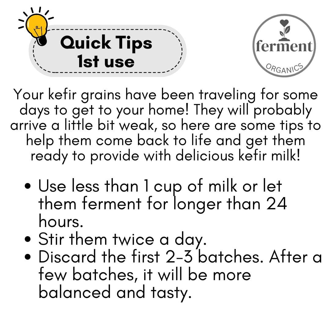 Live Kefir Grains 1 TBSP, Kefir Starter Culture, Rich in Live Active Probiotics, Start your own Kefir Culture at Home, Bulgaros de Leche, Beginners Kit