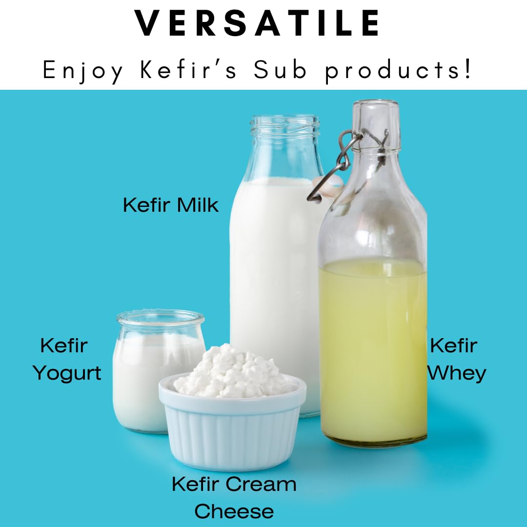 Live Kefir Grains 1 TBSP, Kefir Starter Culture, Rich in Live Active Probiotics, Start your own Kefir Culture at Home, Bulgaros de Leche, Beginners Kit
