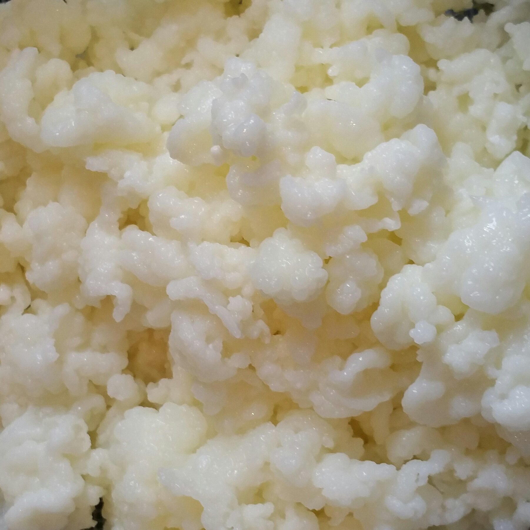 Natural Home Remedies,Milk Kefir Grains Live Raw Organic Probiotics BULGAROS