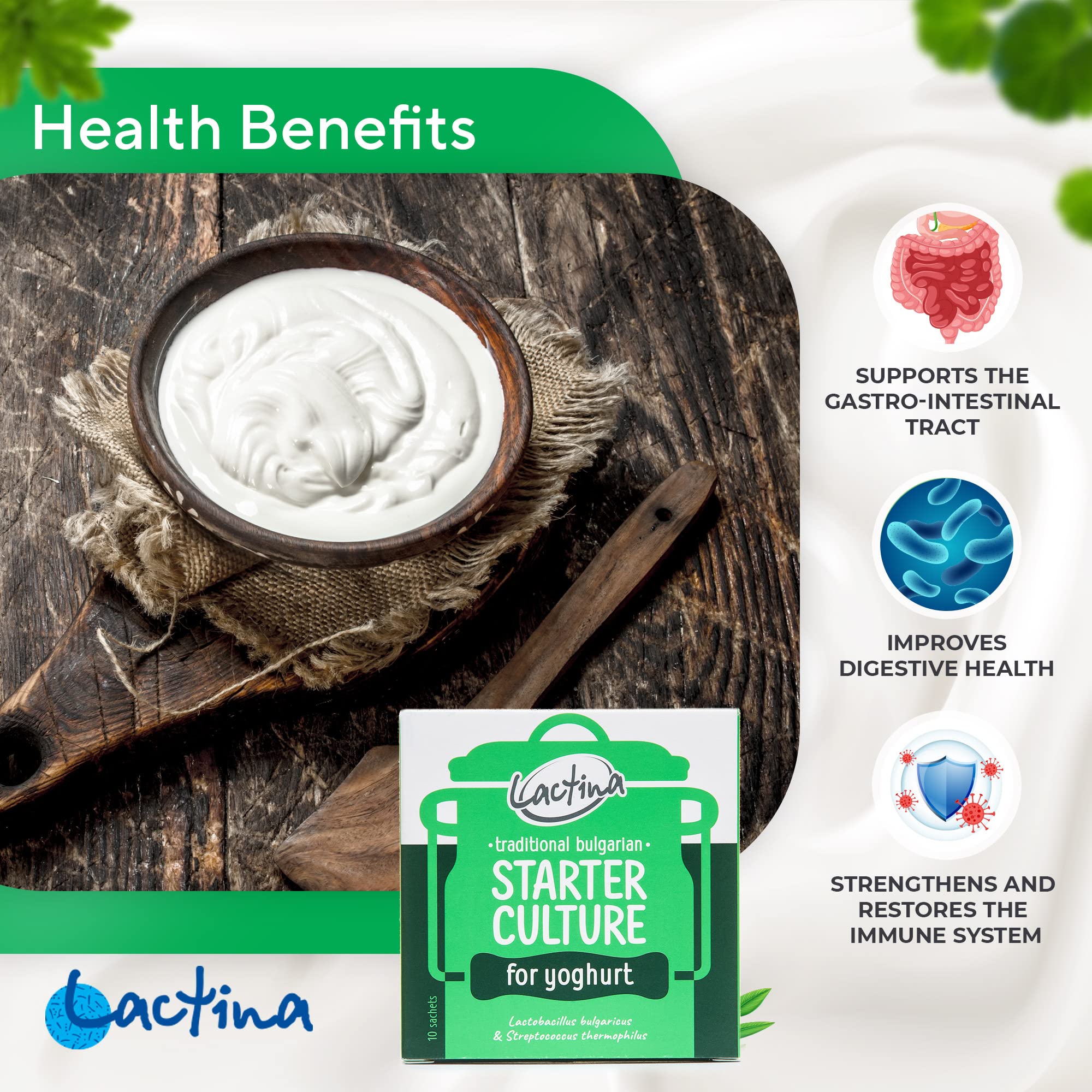 Bulgarian Yogurt Starter Culture Natural Probiotic Yogurt Culture Starter Homemade Yoghurt Starter 10 Liters Lactobacillus bulgaricus (traditional)