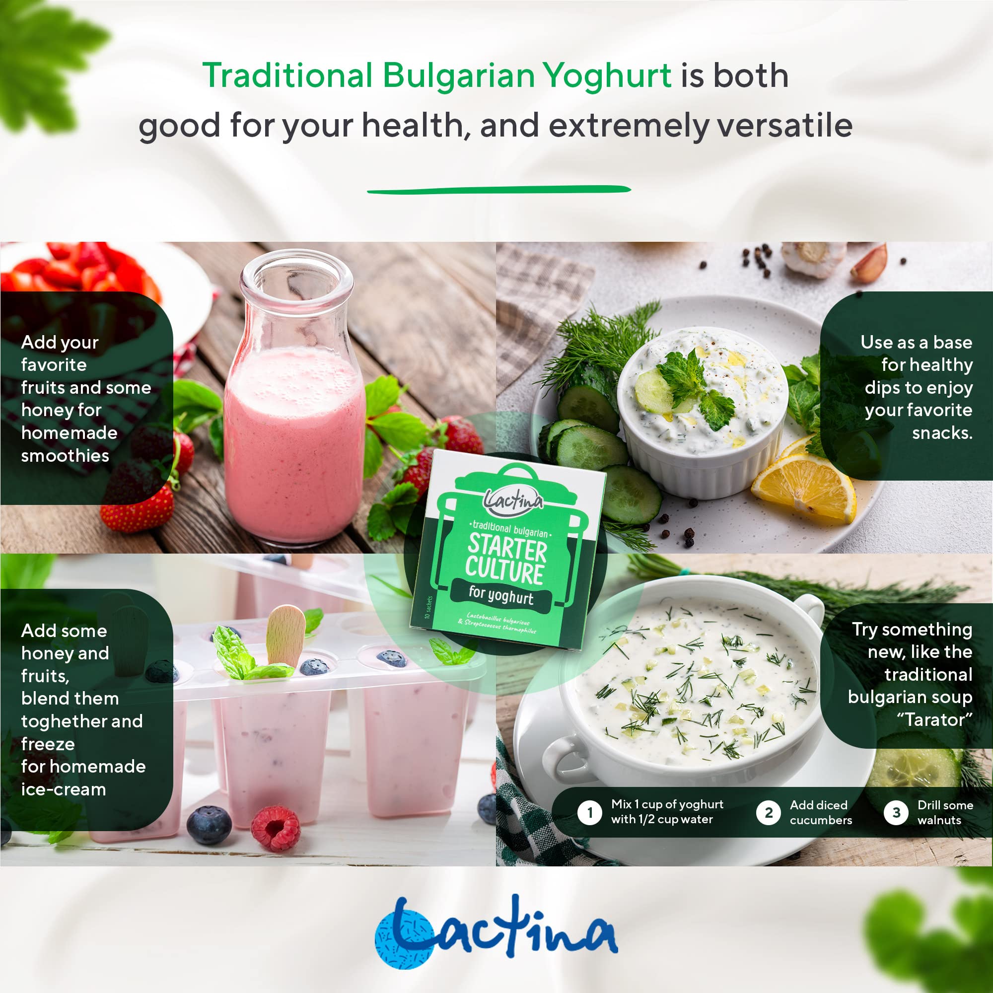 Bulgarian Yogurt Starter Culture Natural Probiotic Yogurt Culture Starter Homemade Yoghurt Starter 10 Liters Lactobacillus bulgaricus (traditional)