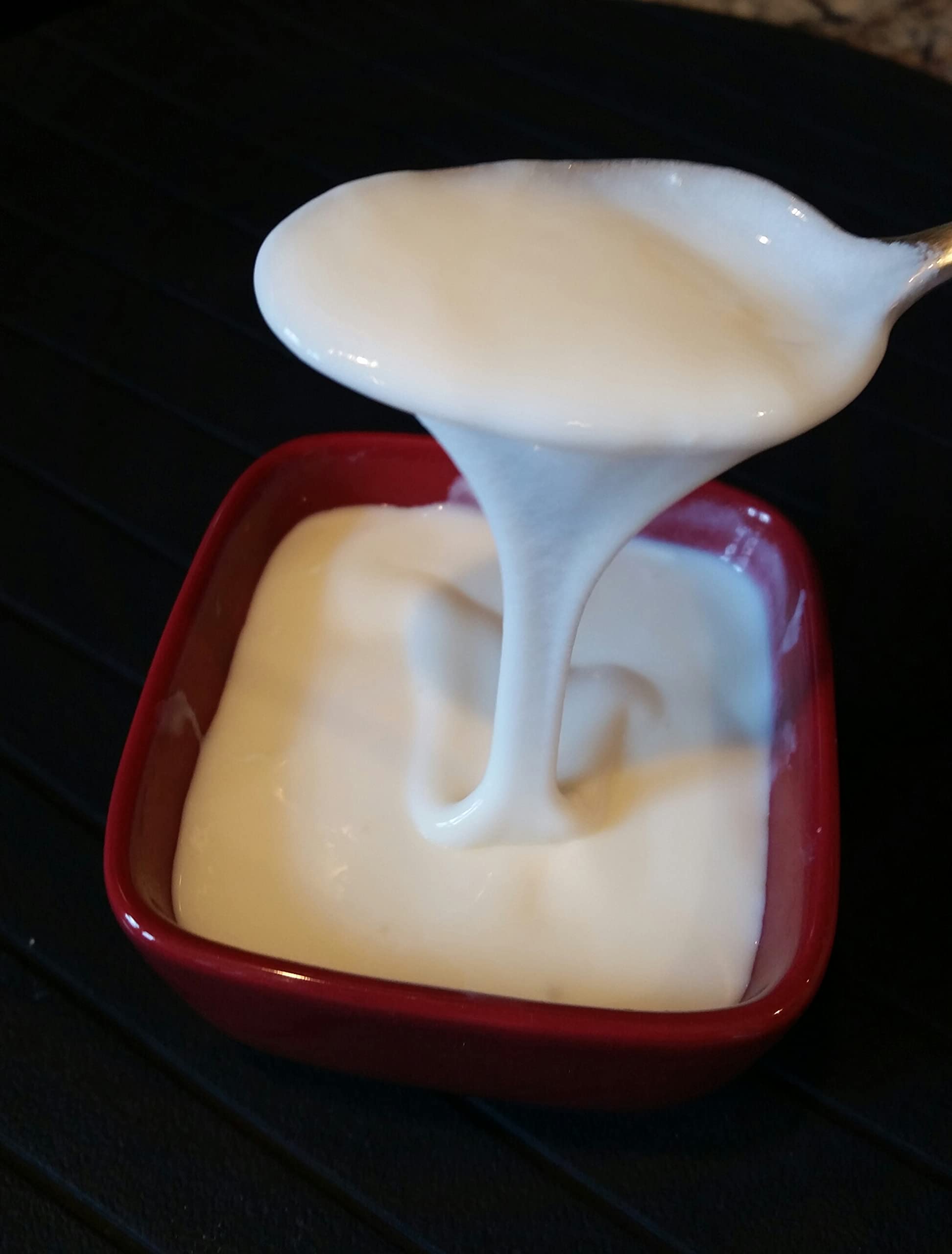 Anything Healthy, LLC Traditional Greek Yogurt Starter Heirloom Thermophilic Culture - Best Customer Service, Contact for any Questions