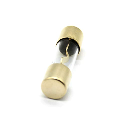 Etopar 5 X 100A AGU Fuse Car Auto Audio Power Safety Protect Glass Tube Gold Plated Radio