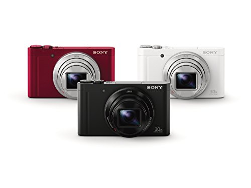Sony Cyber-shot DSC-WX500 Digital Camera (Black) Bundle [Japan Import]
