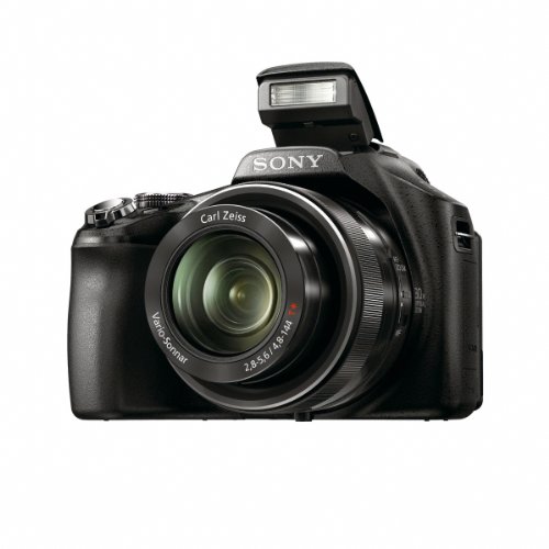 Sony Cyber-Shot DSC-HX100V 16.2 MP Exmor R CMOS Digital Still Camera with Carl Zeiss Vario-Tessar 30x Optical Zoom Lens and Full HD 1080 Video