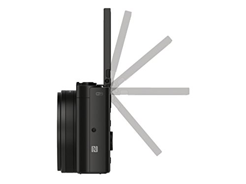 Sony Cyber-shot DSC-WX500 Digital Camera (Black) Bundle [Japan Import]