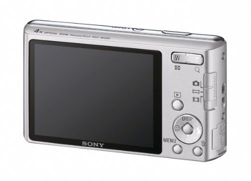 Sony Cyber-Shot DSC-W530 14.1 MP Digital Still Camera with Carl Zeiss Vario-Tessar 4x Wide-Angle Optical Zoom Lens and 2.7-inch LCD (Silver) (OLD MODEL)