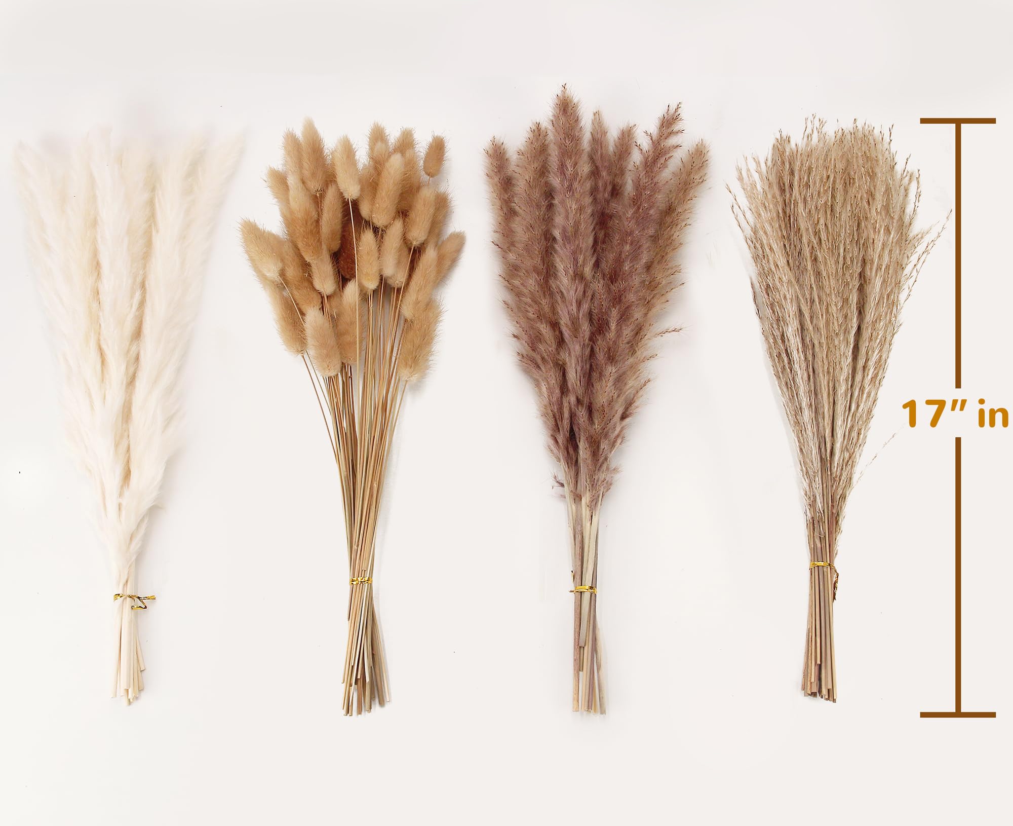 Dried Pampas Grass Decor, 100 PCS Pampas Grass Contains Bunny Tails Dried Flowers, Reed Grass Bouquet for Wedding Boho Flowers Home Table Decor, Rustic Farmhouse Party (White and Brown)